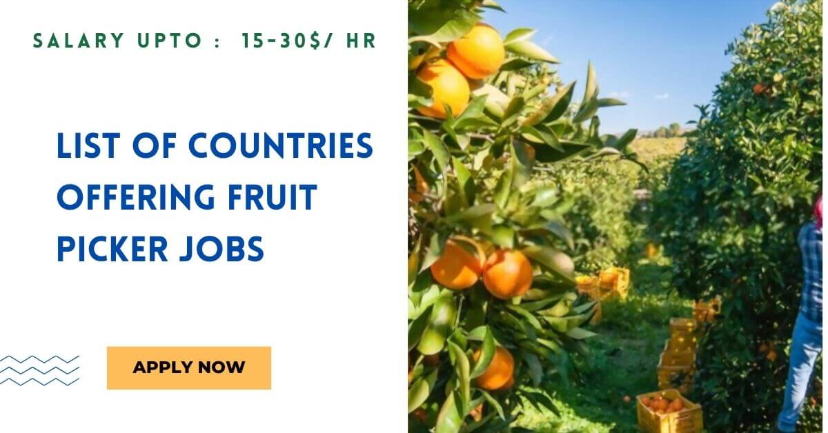 Foreigner Jobs - Visa Sponsorship Jobs