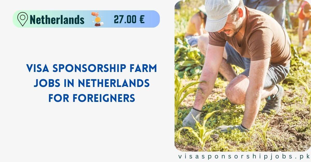 Sponsorship Jobs - Visa Sponsorship Jobs